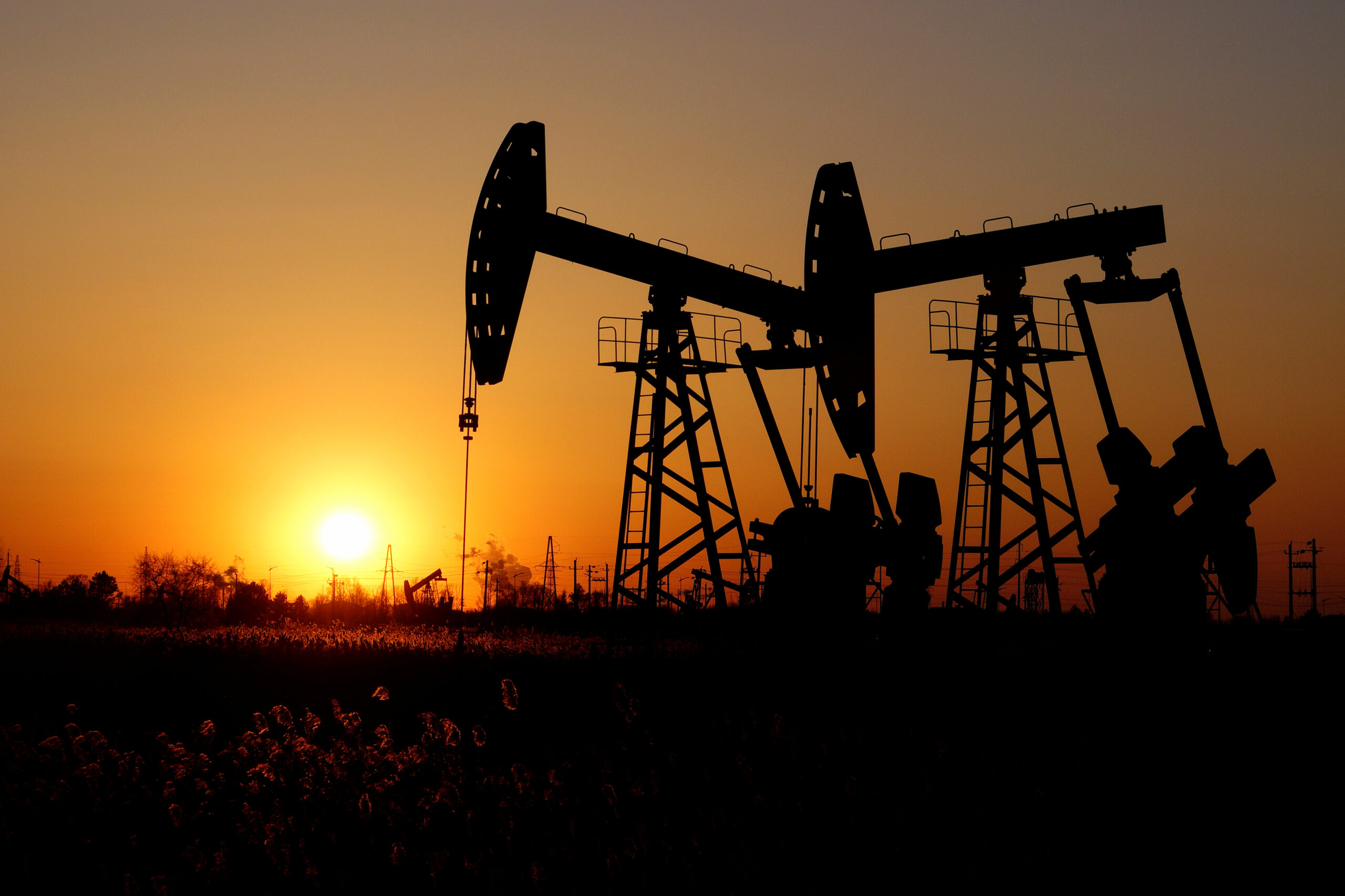 Oil steady as investors weigh tighter supply vs. growth outlook - Oil ...
